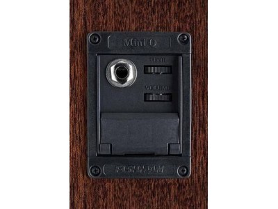 Fishman MINI Q PREAMP W/JACK/B